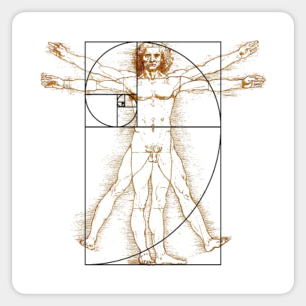 Leonardo da Vinci Vitruvian Man Fibonacci Sequence - Vitruvian Man - Sticker | TeePublic